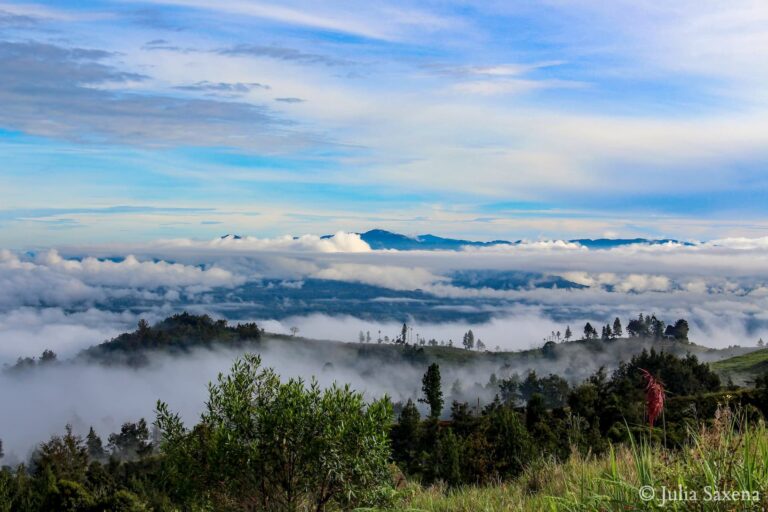 Papua New Guinea: What it’s like to live on a tropical island in the ...